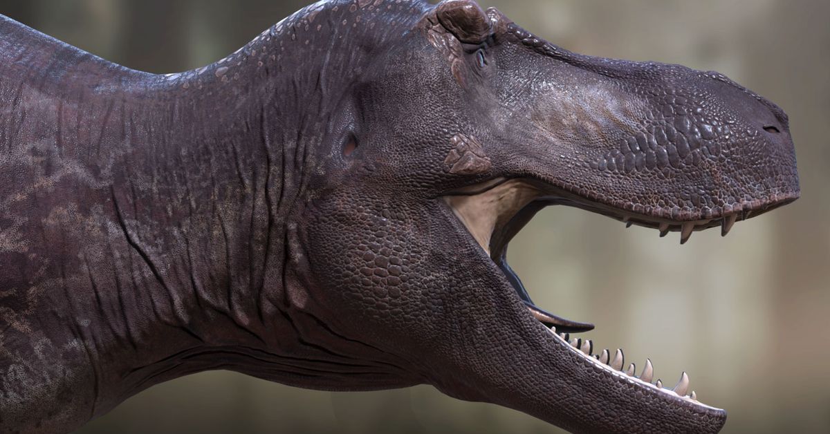 T. Rex looks super thicc in highly accurate digital reconstruction ...